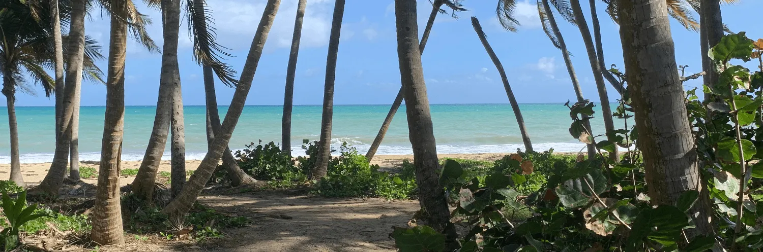 Dorado, PUERTO RICO [Neighborhood Guide] | The Corcoran Group