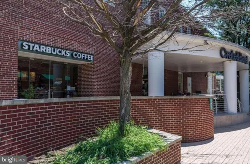 Luxury Real Estate Company | Corcoran McEnearney