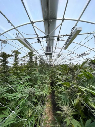 Blocksburg, CA Real Estate & Homes for Sale | Corcoran