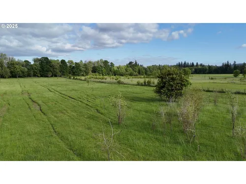 Laurel Blooming Scholls River Road, OR Real Estate & Homes for Sale ...