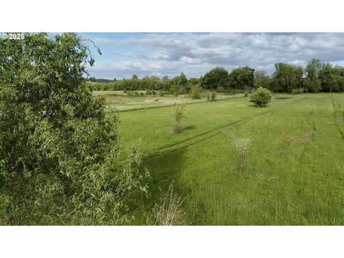 Laurel Blooming Scholls River Road, OR Real Estate & Homes for Sale ...