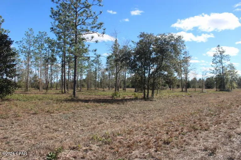 5015 NW County Road 274, Altha, FL 32421 Property for sale