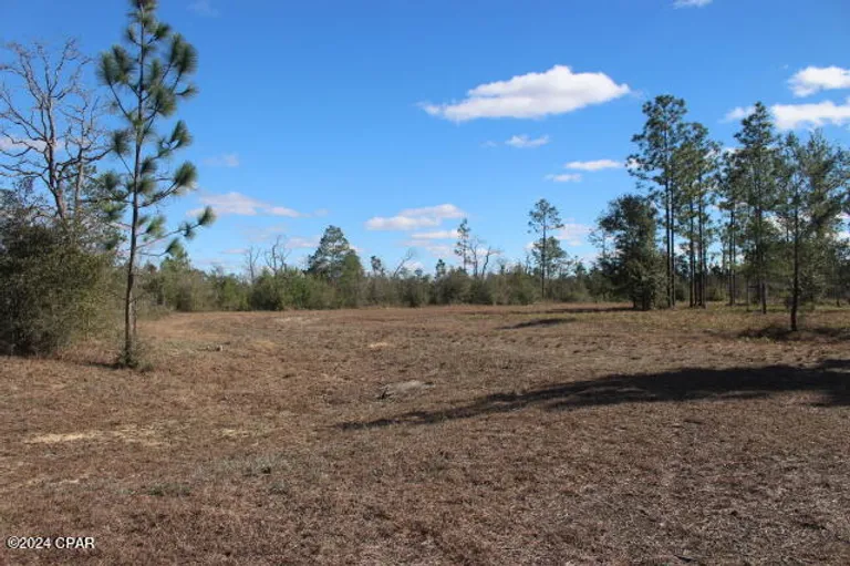 5015 NW County Road 274, Altha, FL 32421 Property for sale