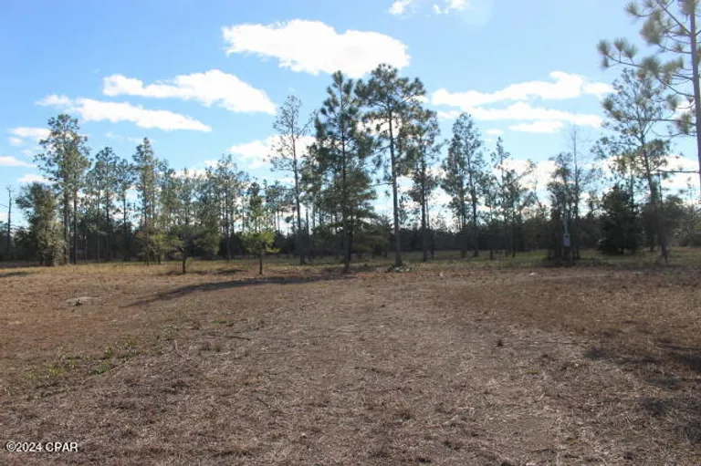 5015 NW County Road 274, Altha, FL 32421 Property for sale