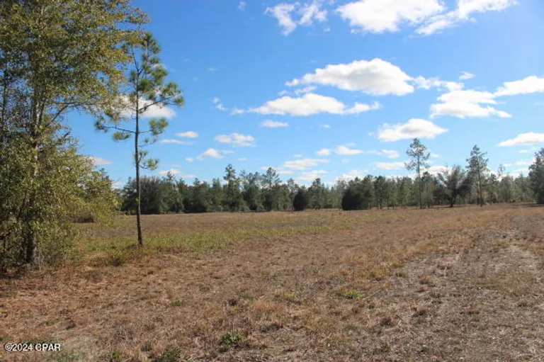 5015 NW County Road 274, Altha, FL 32421 Property for sale