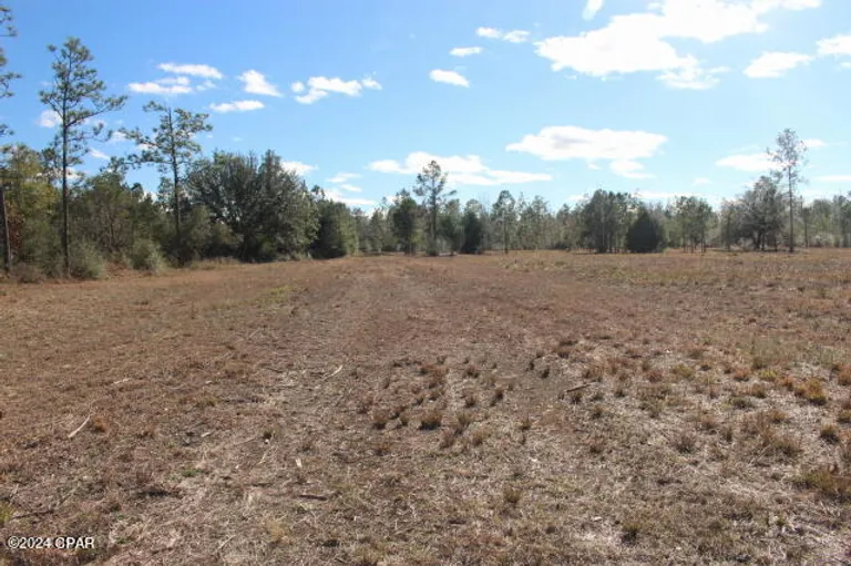 5015 NW County Road 274, Altha, FL 32421 Property for sale