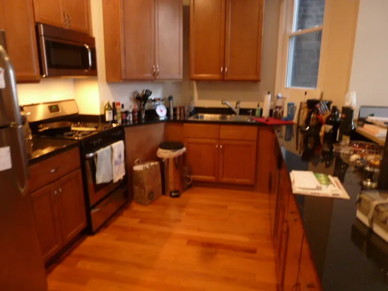 902 Newport #1, Chicago, IL 60657 Property for rent