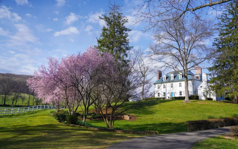 Luxury Real Estate Company | Corcoran McEnearney